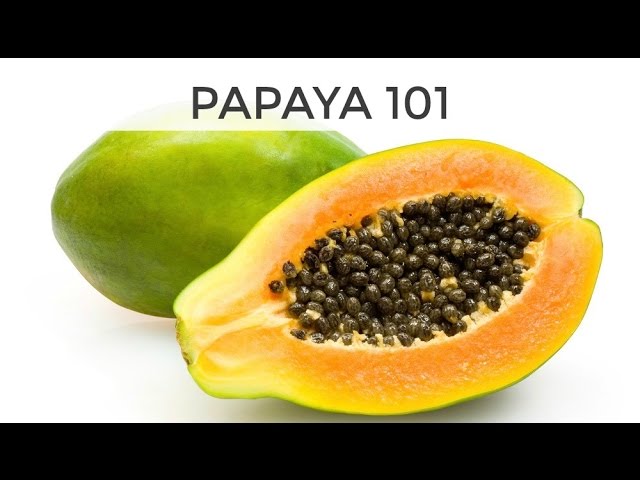 Papaya 101 | Everything You Need To Know - Shaping Your Best Self